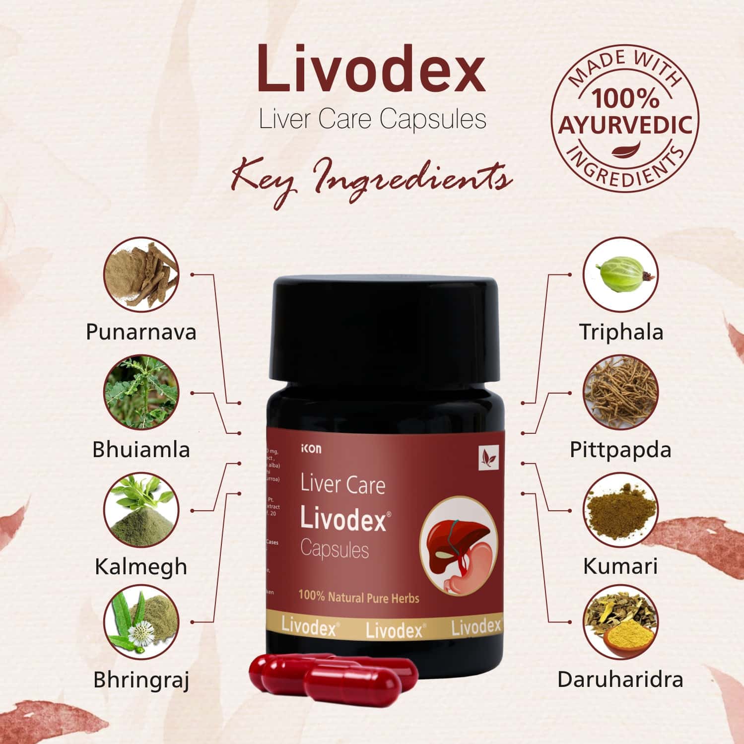 Buy LIVODEX CAPSULES 10 CAPS | LIVER HEALTH SUPPLEMENT | DETOX LIVER ...