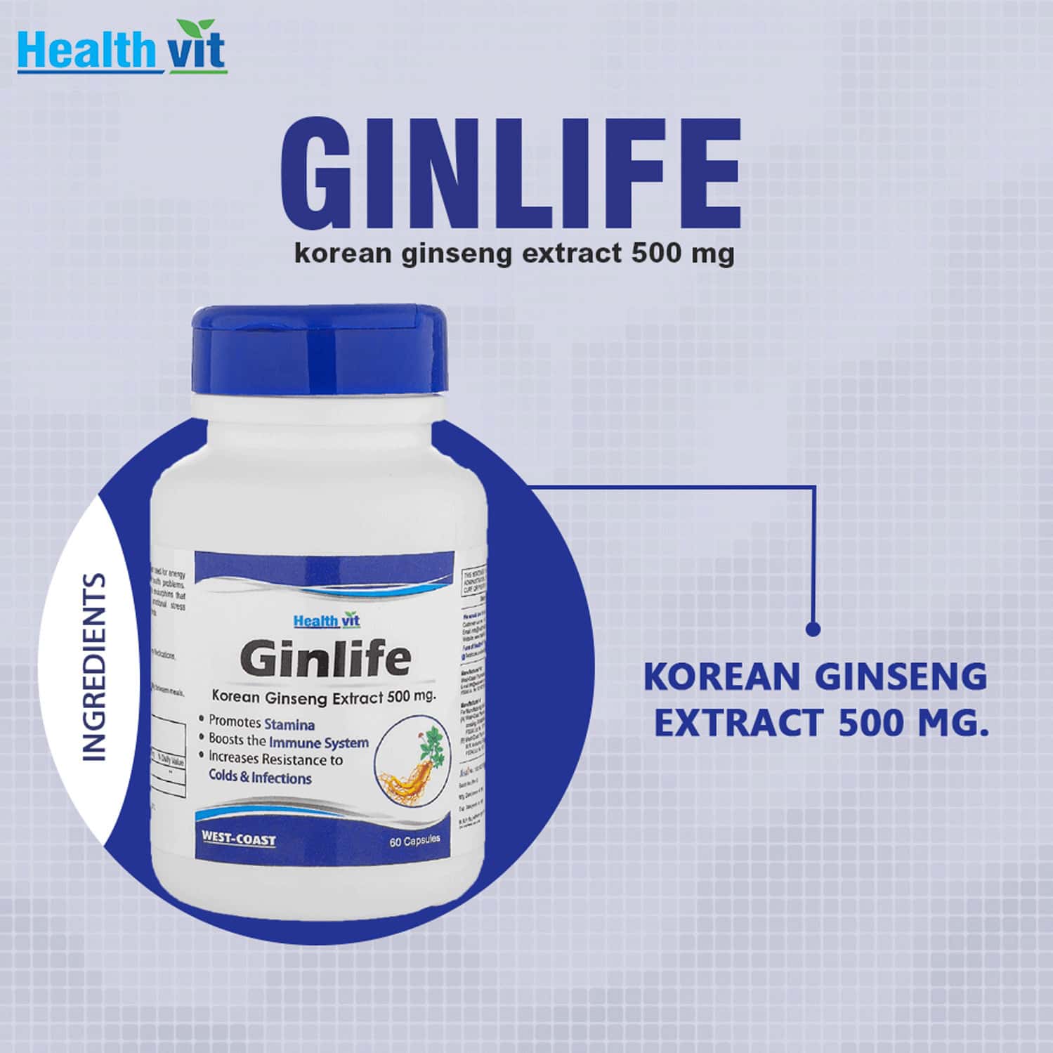Buy HEALTHVIT GINLIFE KOREAN GINSENG EXTRACT 500 MG - 60 CAPSULES ...