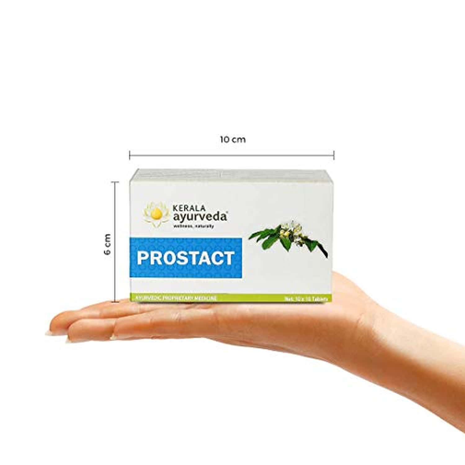 Buy KERALA AYURVEDA PROSTACT TABLET 100 TABLETS X PACK OF 3 Online ...