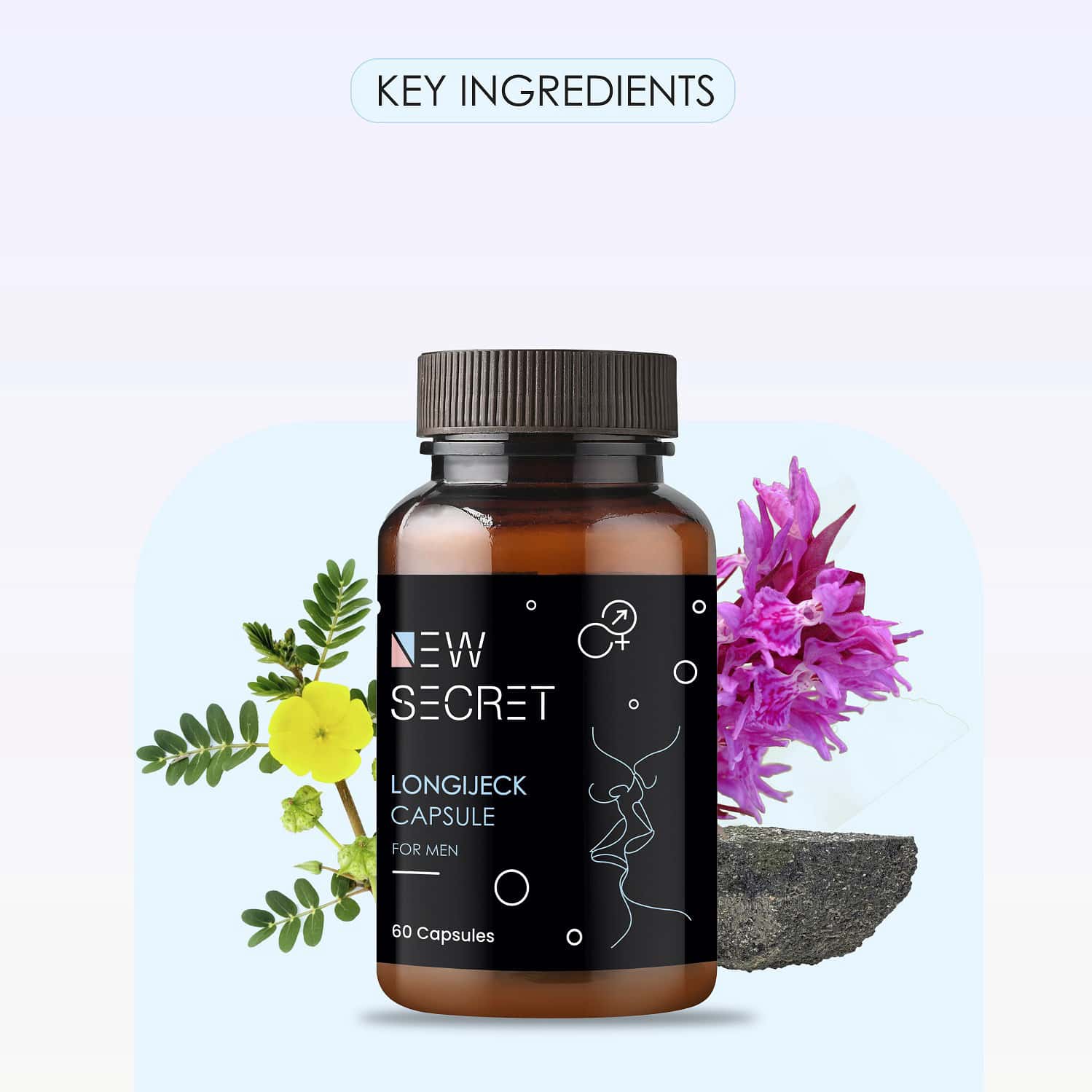 Buy LONGIJECK CAPSULE (60 TABLETS)- FOR LONG LASTING IN BED Online ...