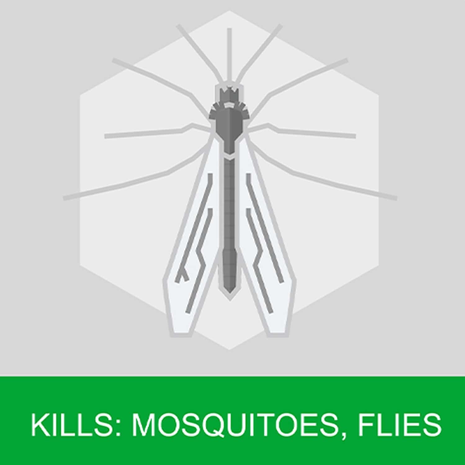 Buy NEW BAYGON MAX MOSQUITO & FLY KILLER 400ML Online & Get Upto 60% ...