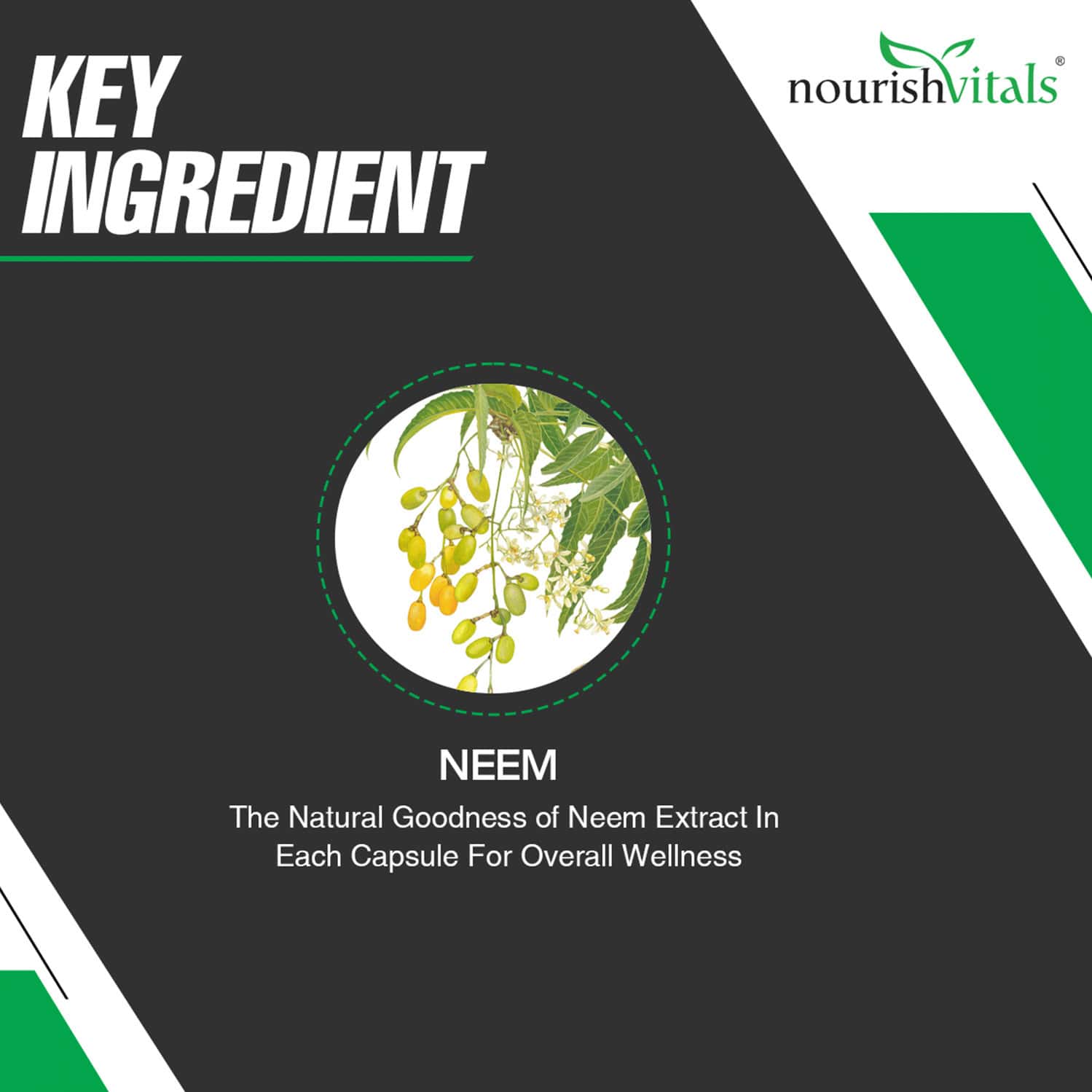 Buy NOURISHVITALS NEEM PURE HERBS 500 MG NEEM BLOOD PURIFIER & FOR ...