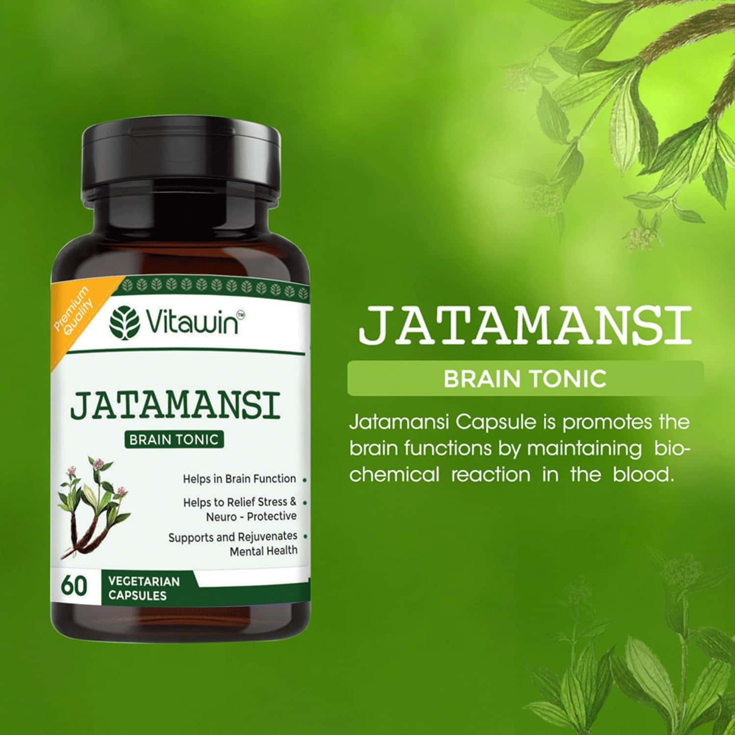 Buy VITAWIN JATAMANSI BRAIN TONIC & STRESS RELIEF HERBAL NUTRITION ...