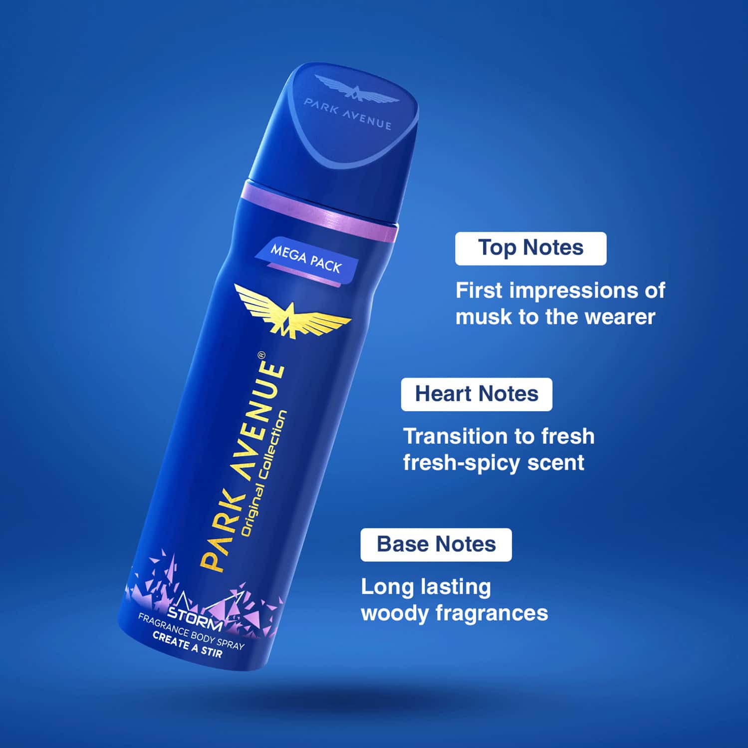 Buy PARK AVENUE STORM COMBO PACK OF 2 PERFUME FOR MEN- SAVER MEGA PACK ...