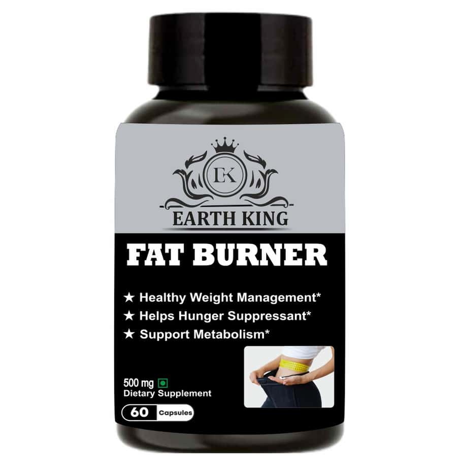 Buy EARTH KING FAT BURNER CAPSULE HELPS IN HUNGER SUPPRESSANT - 500 MG ...