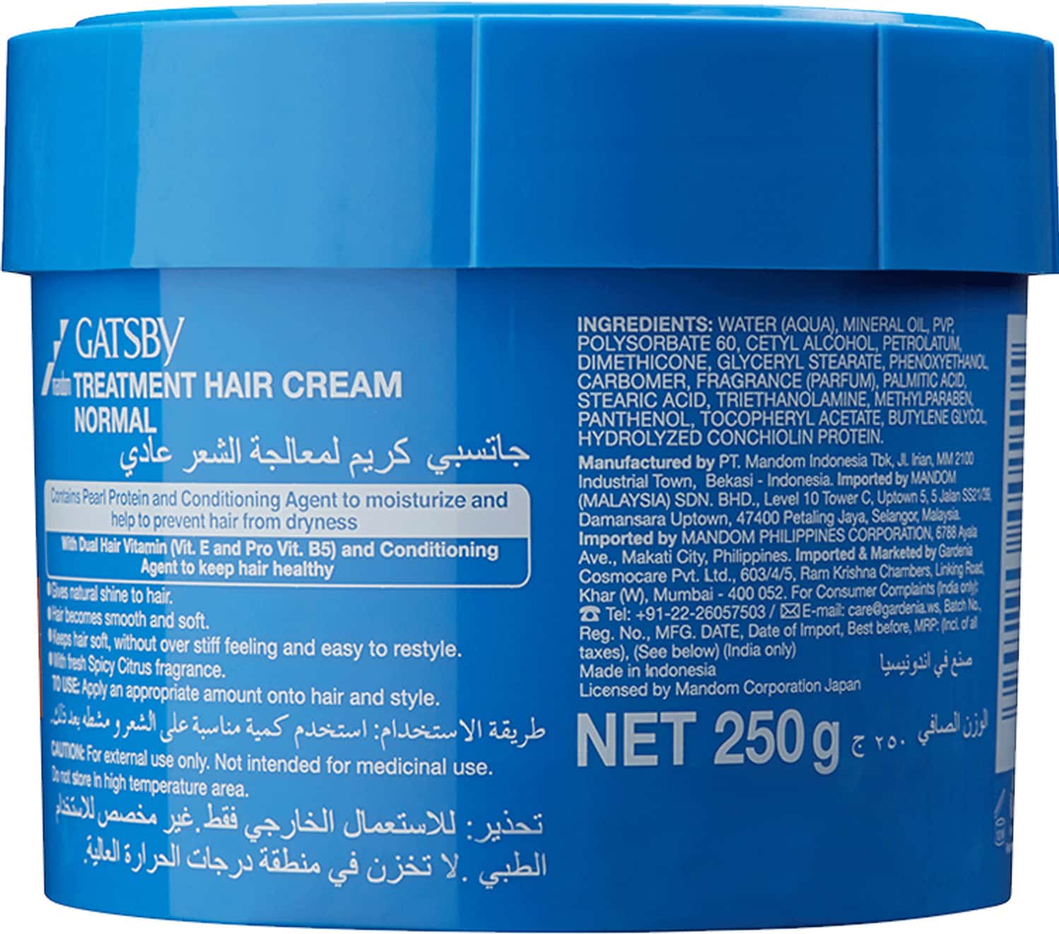 Buy GATSBY TREATMENT HAIR CREAM NORMAL 250GM Online & Get Upto 60% OFF ...