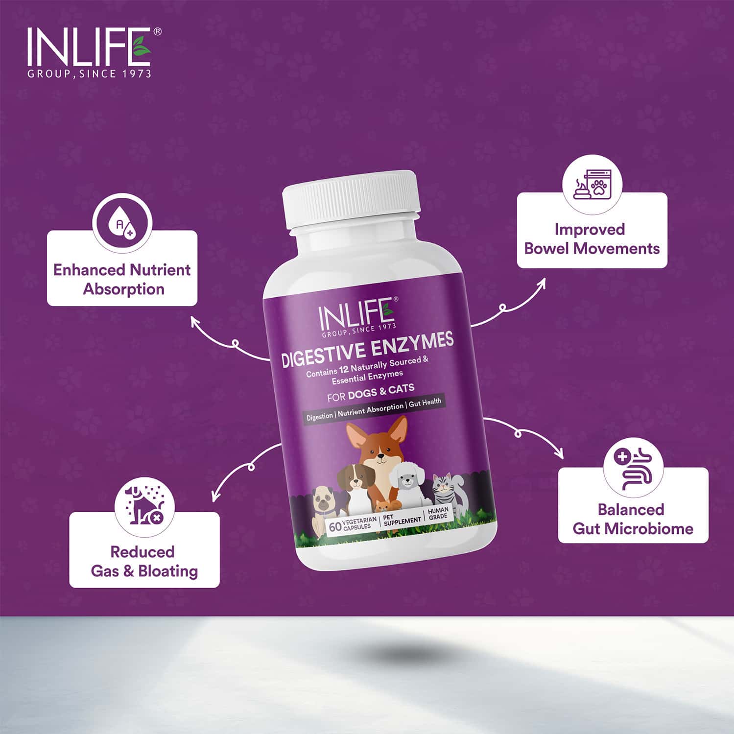 Buy INLIFE DIGESTIVE ENZYMES FOR DOGS CATS AND PETS | 12 NATURAL ...