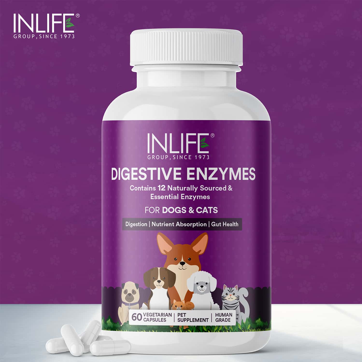 Buy INLIFE DIGESTIVE ENZYMES FOR DOGS CATS AND PETS | 12 NATURAL ...