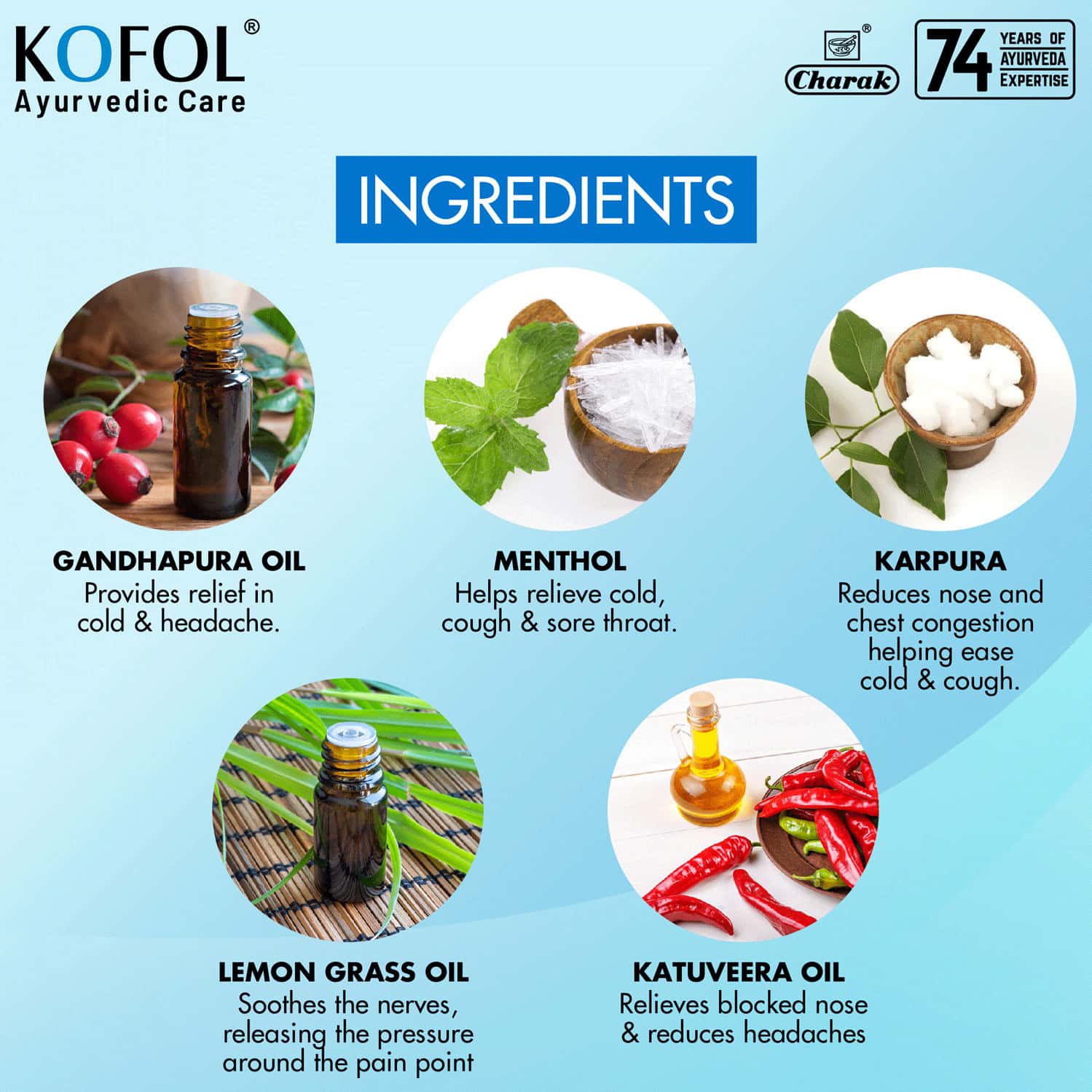 Buy KOFOL ROLL-ON FOR QUICK RELIEF FROM HEADACHE & NASAL CONGESTION ...