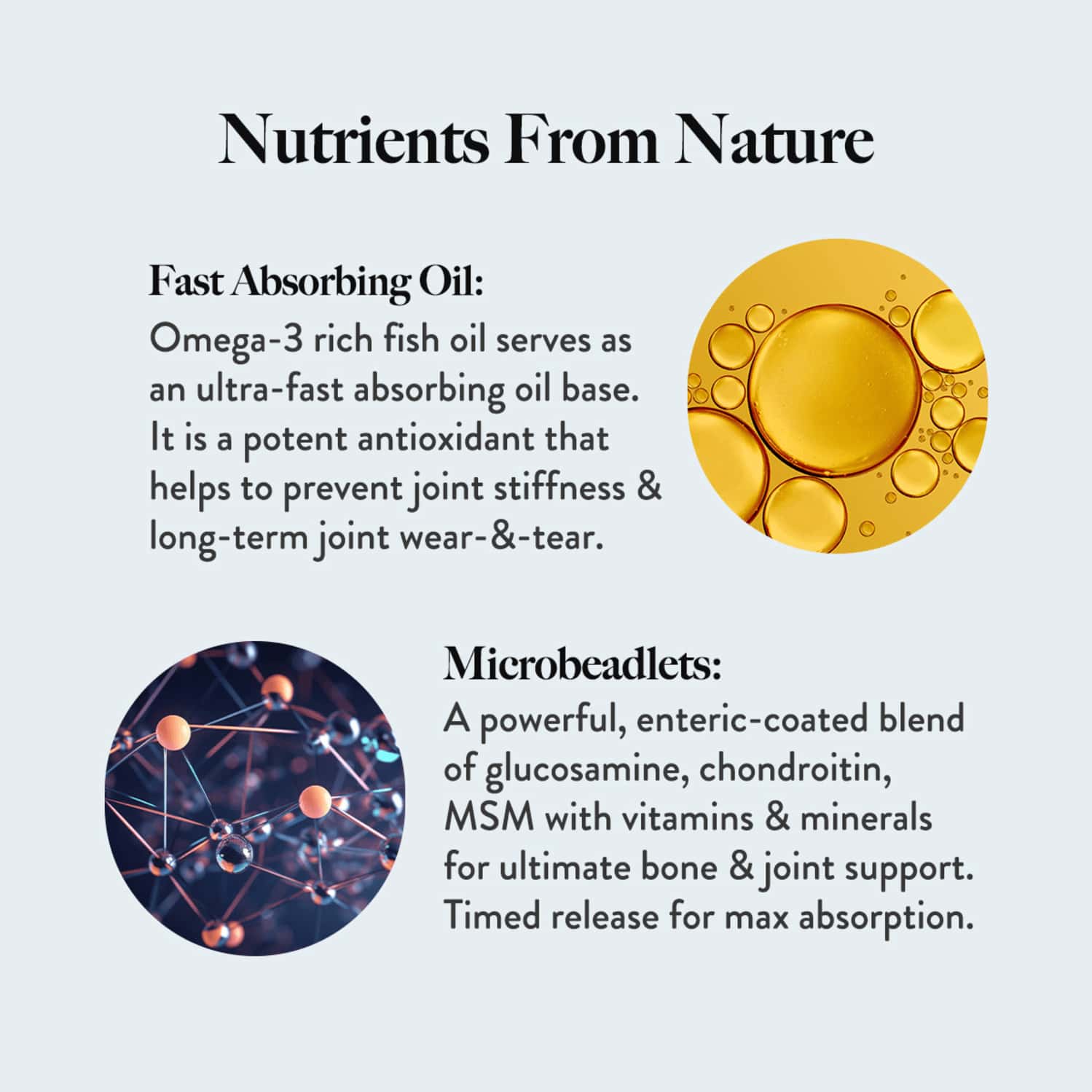 Buy WELLBEING NUTRITION SLOW BONE SUPPORT FOR BONE & JOINT STRENGTH AND ...