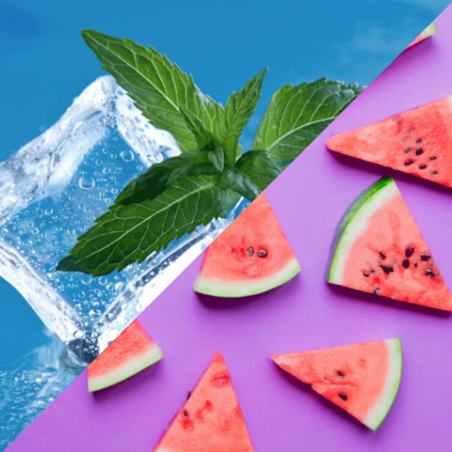 Buy STAYCOOL BREATH FRESHENER SPRAY - COOL MINT, WATERMELON - PACK OF 2 ...