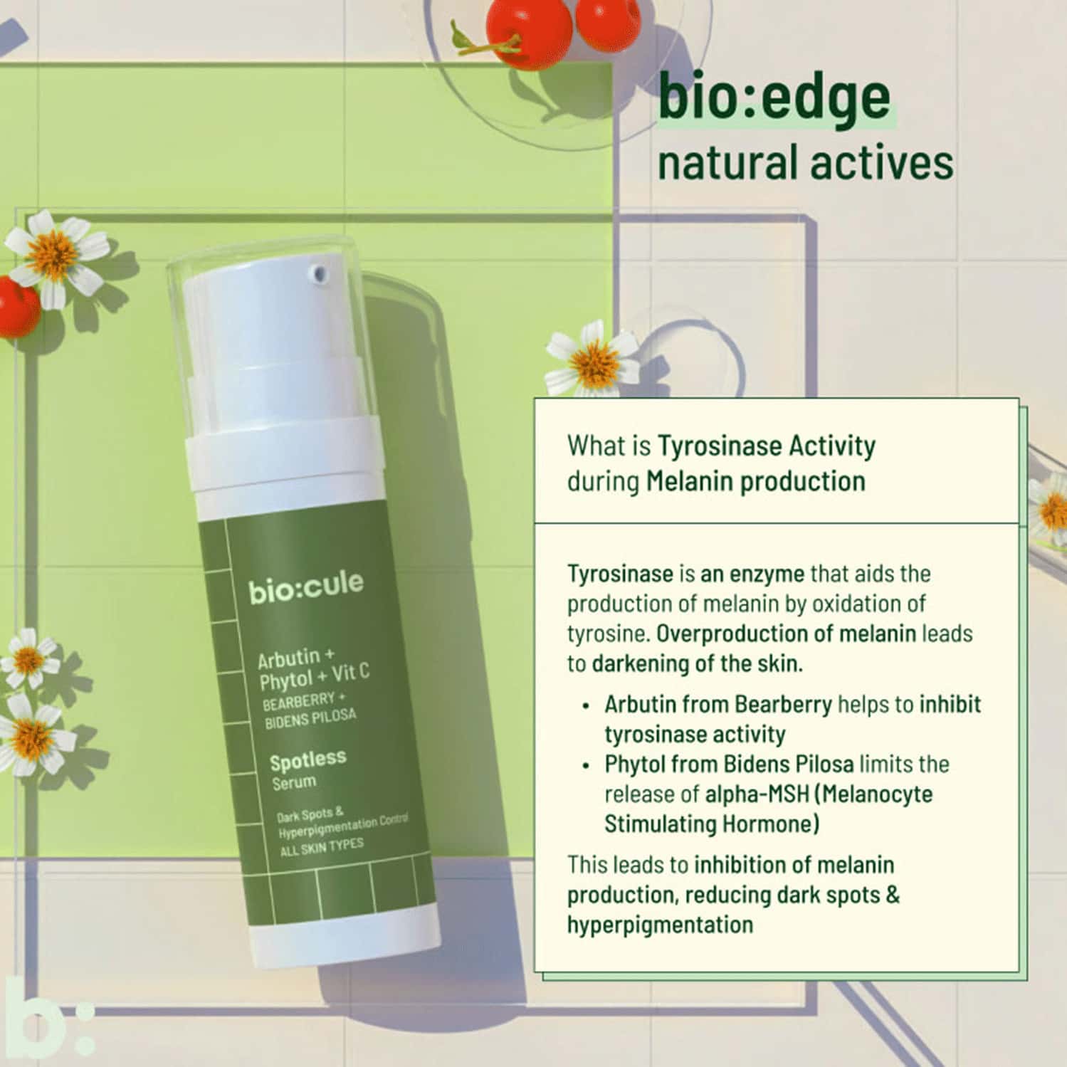 Buy BIOCULE SPOTLESS VITAMIN C FACE SERUM WITH NATURAL ARBUTIN+PHYTOL ...