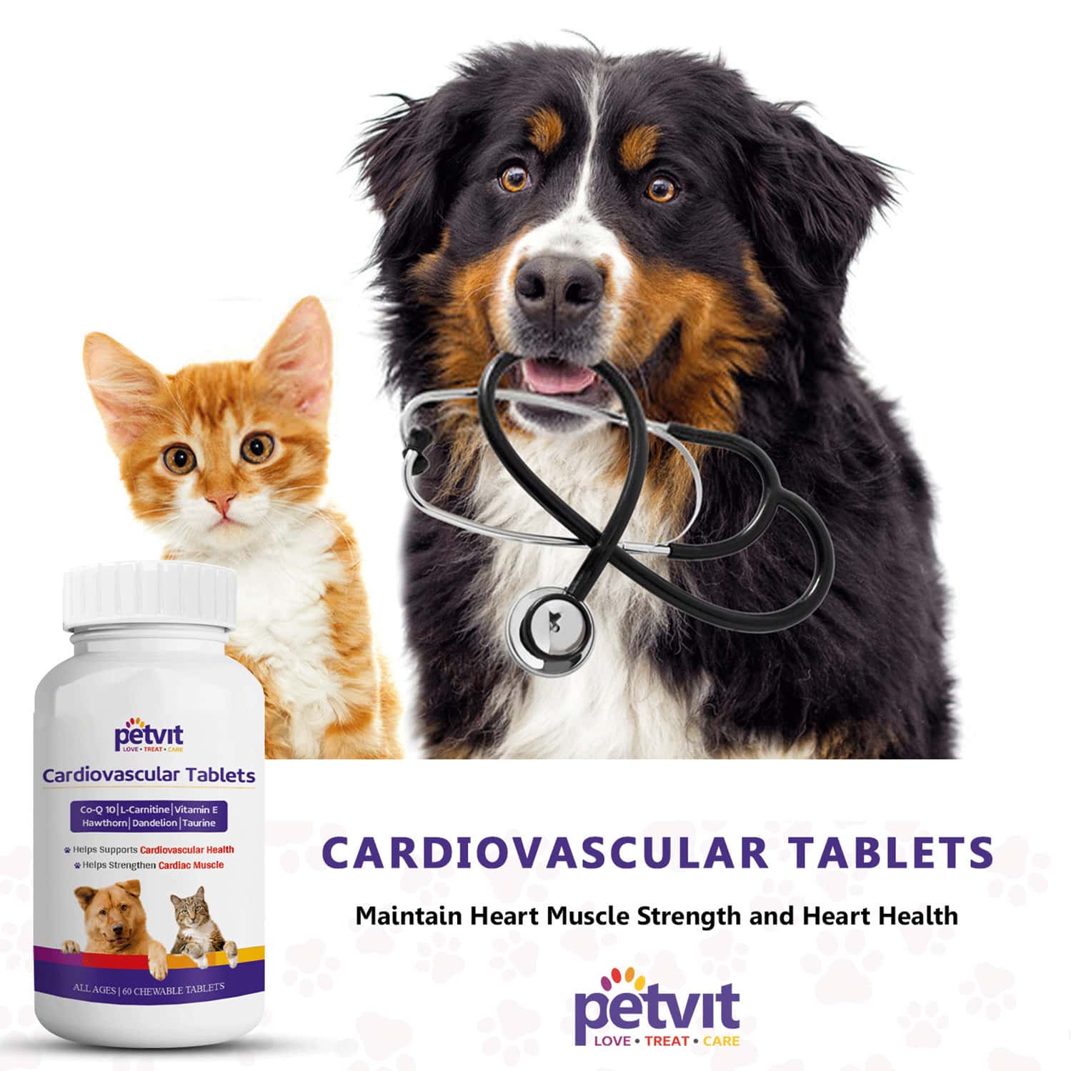 Buy PETVIT CARDIOVASCULAR TABLETS - ALL BREEDS OF DOGS & CATS 60 ...