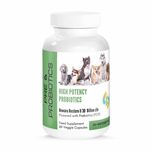 Buy SHARRETS PRE & PROBIOTICS FOR DOGS, HIGH POTENCY PROBIOTICS 30 ...