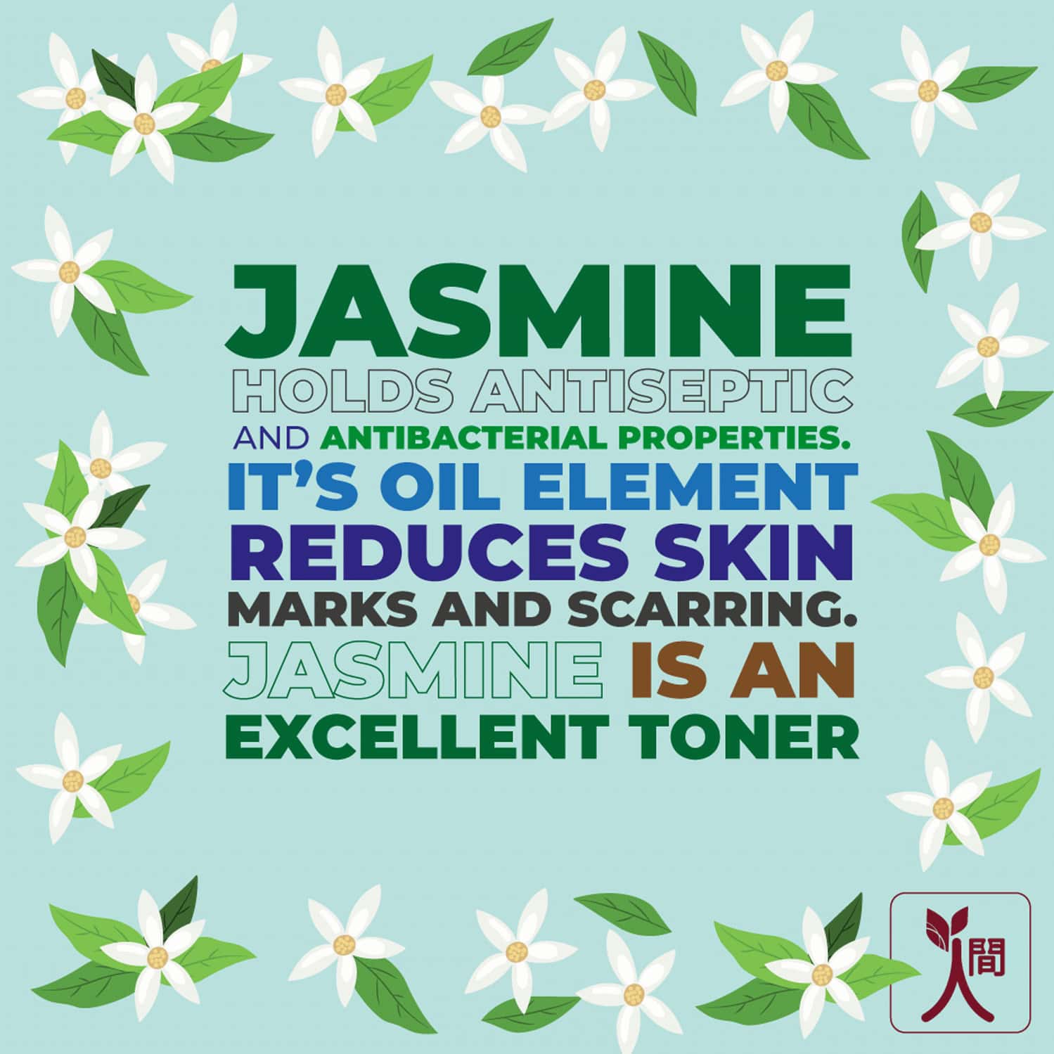 Buy NINGEN JASMINE DAILY CREAM WITCH HAZEL AVOCADO LILY EXTRACTS - 100G ...