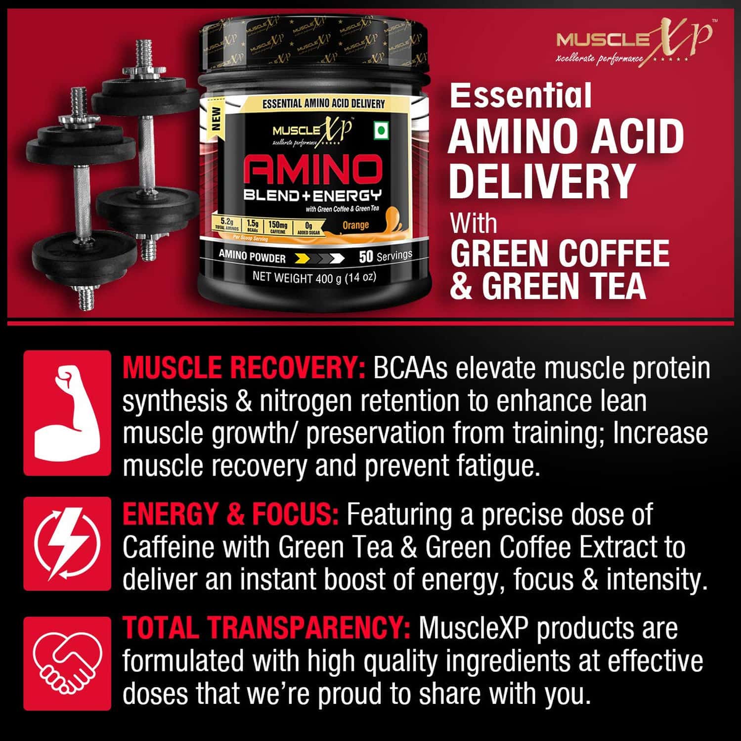 Buy MUSCLEXP ESSENTIAL NUTRIENTS COMBO | AMINO BLEND 400G + WHEY ...