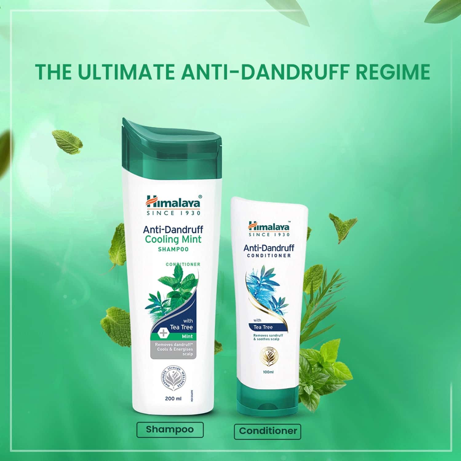 Buy HIMALAYA ANTI-DANDRUFF MINT SHAMPOO - 200ML Online & Get Upto 60% ...
