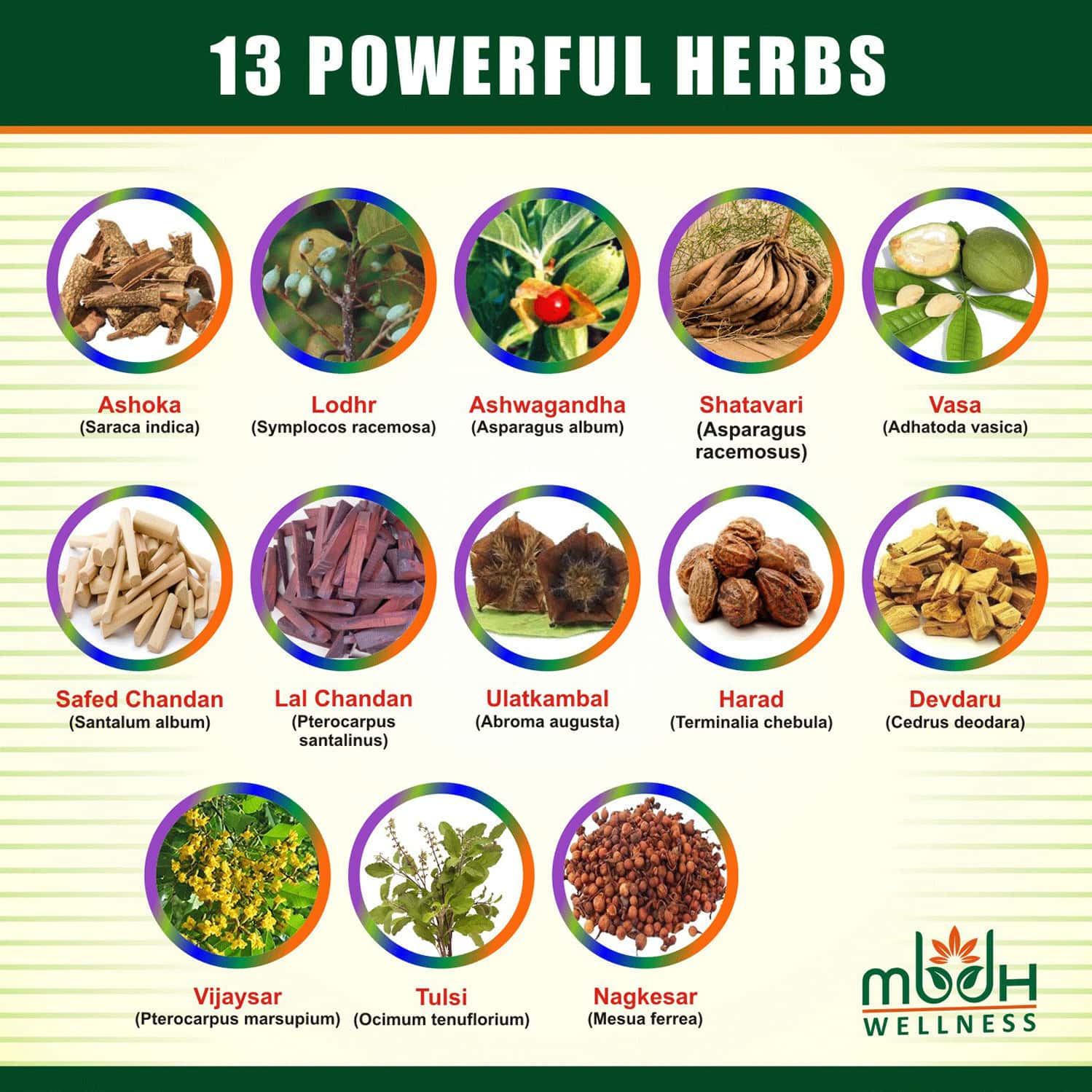 Buy MBDHWELLNESS MIREMBA SYRUP FOR PCOD & PCOS REGULATING MENSTRUAL ...