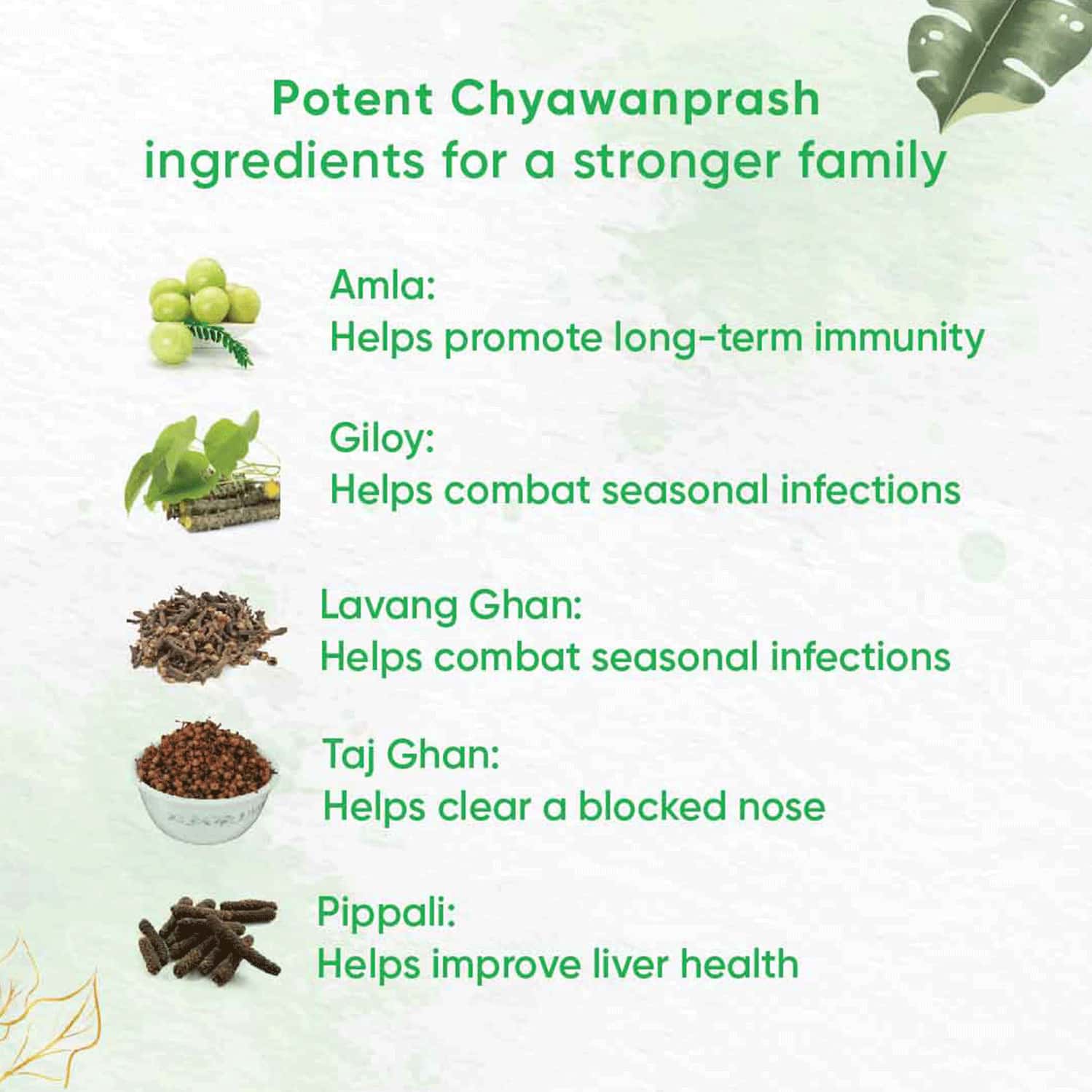 Buy NEW FAMILY CHYAWANPRASH PACK CHYAWANPRASH Online & Get Upto 60% OFF ...