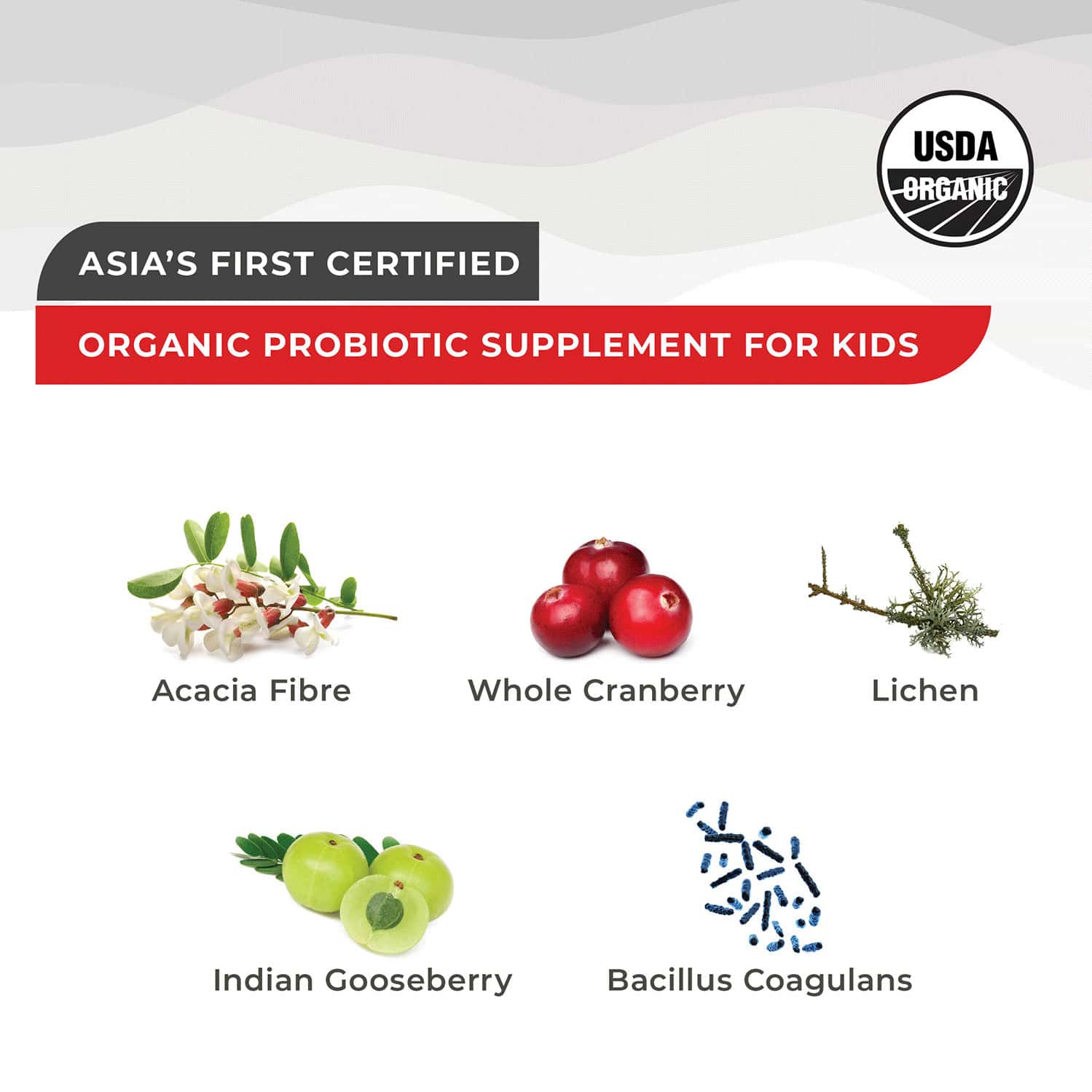 Buy WELLBEING NUTRITION MARVEL THOR MELTS - KIDS ACTIVE PROBIOTIC ...