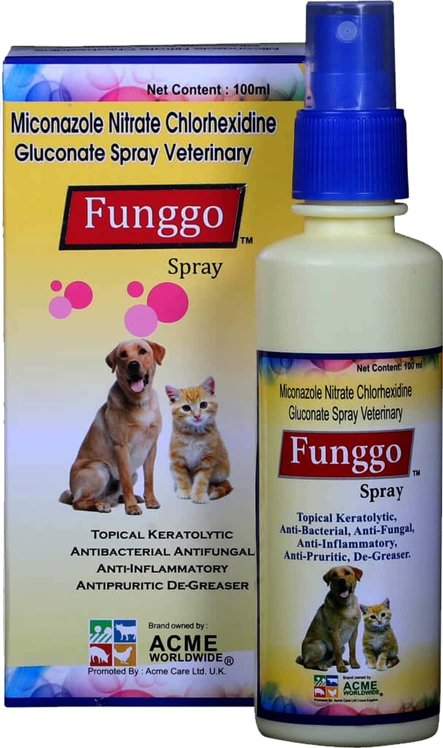 Buy FUNGGO Online & Get Upto 60% OFF at PharmEasy