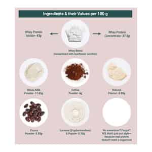 Buy TRUEBASICS CLEAN WHEY PROTEIN POWDER ISOLATE & CONCENTRATE BLEND ...