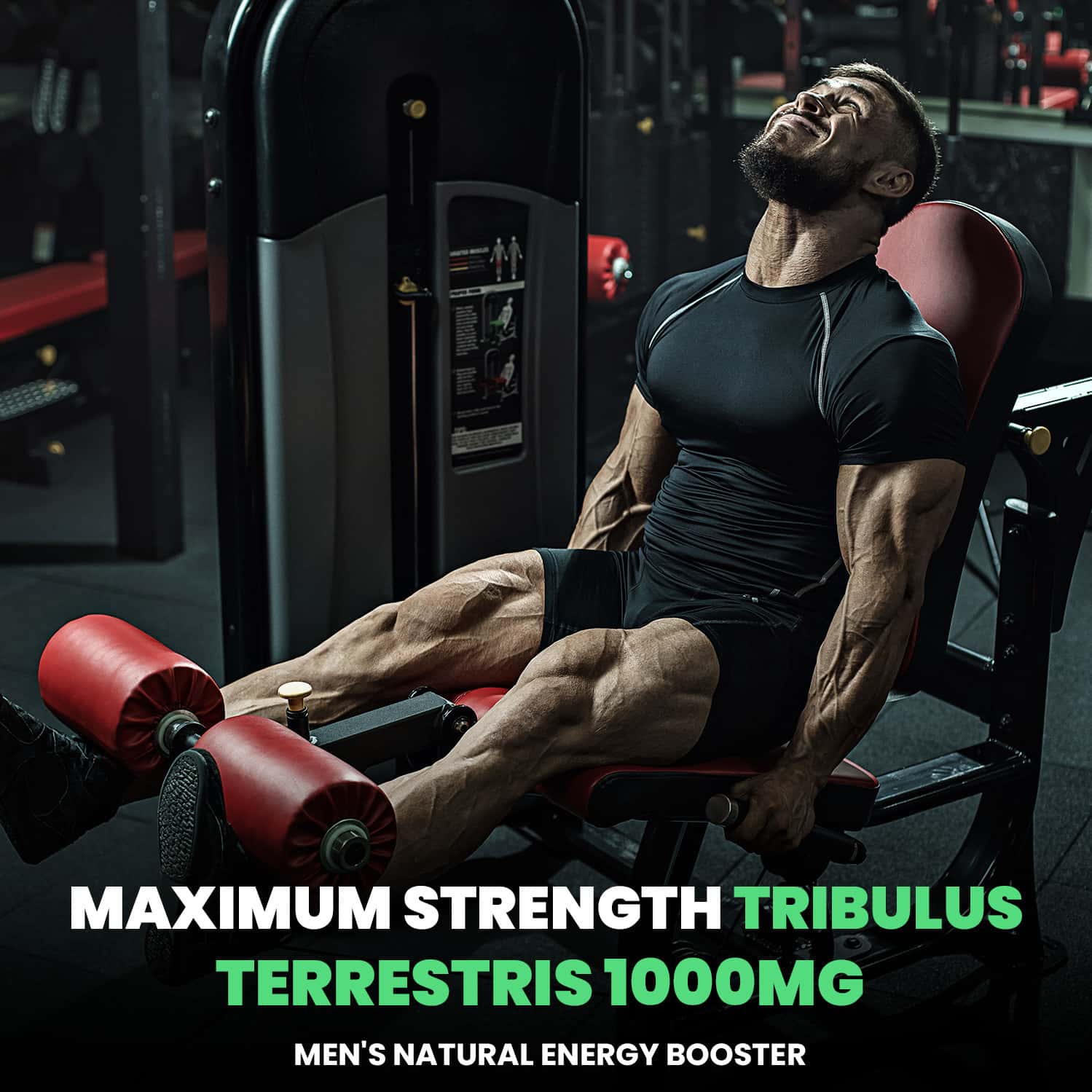 Buy NATURYZ TESTO-6 PLANT BASED SUPPLEMENT FOR MEN WITH TRIBULUS, SAFED ...