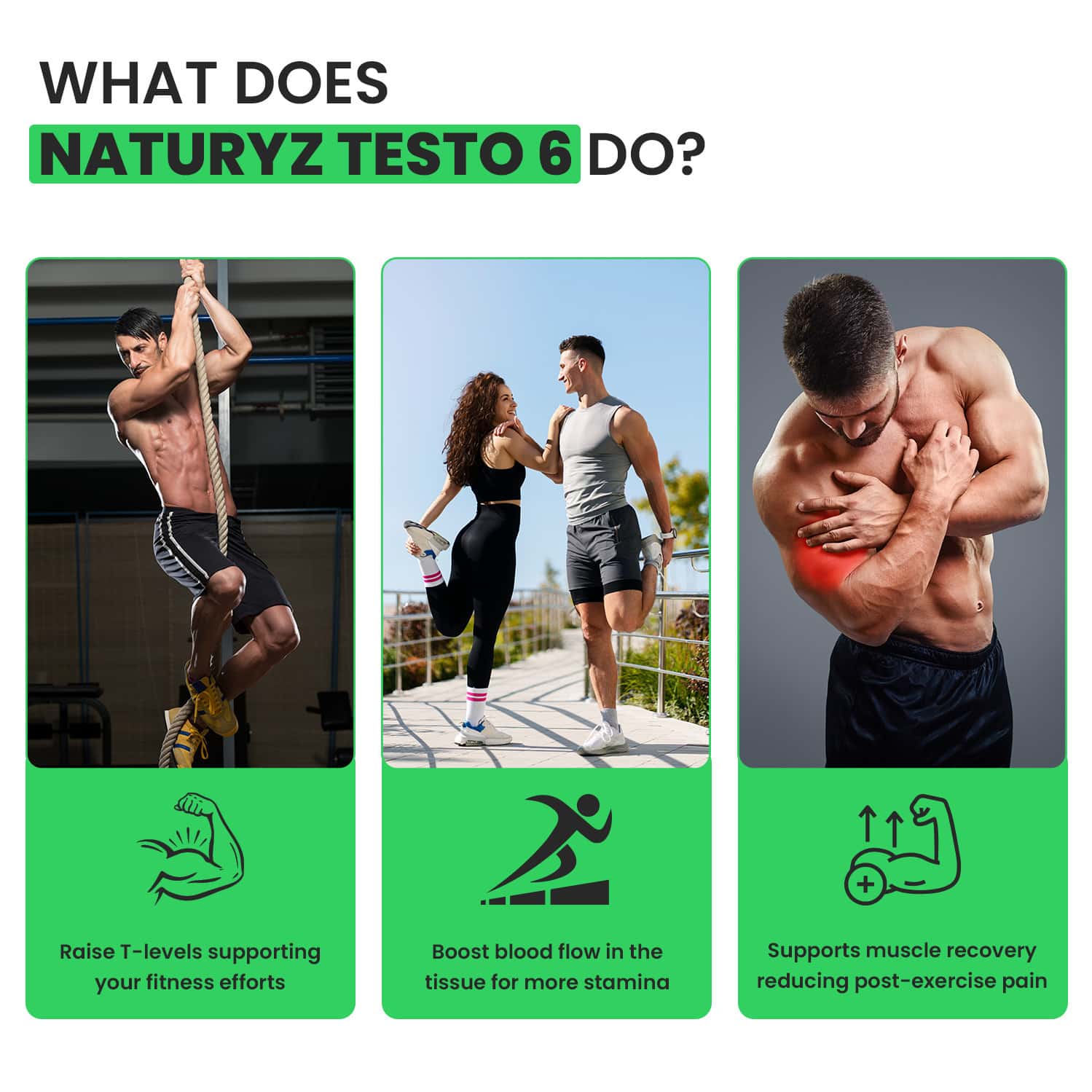 Buy NATURYZ TESTO-6 PLANT BASED SUPPLEMENT FOR MEN WITH TRIBULUS, SAFED ...