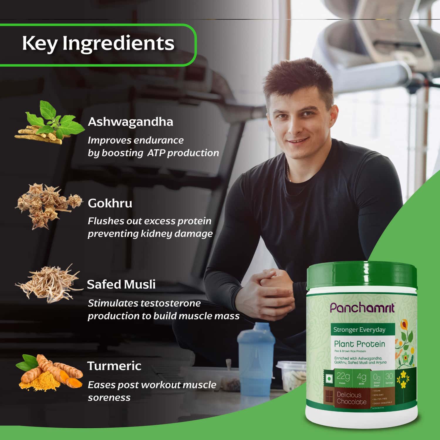 Buy PANCHAMRIT PLANT PROTEIN, 500GM|PEA & BROWN RICE PROTEIN BLEND WITH ...