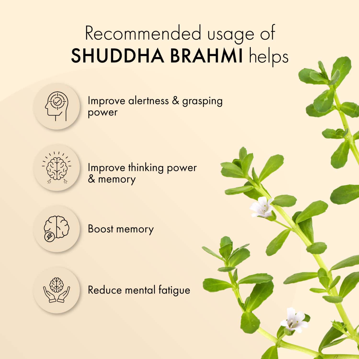 Buy DR. VAIDYA'S SHUDDHA BRAHMI TABLET 60S P1 Online & Get Upto 60% OFF ...