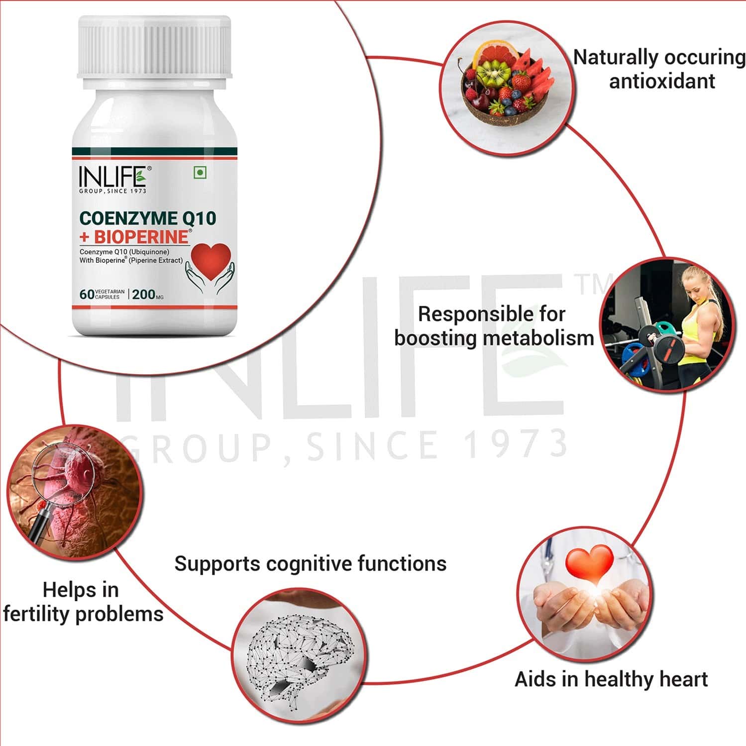 Buy INLIFE COENZYME Q10 COQ10 200MG WITH BIOPERINE (PIPERINE) 8MG ...