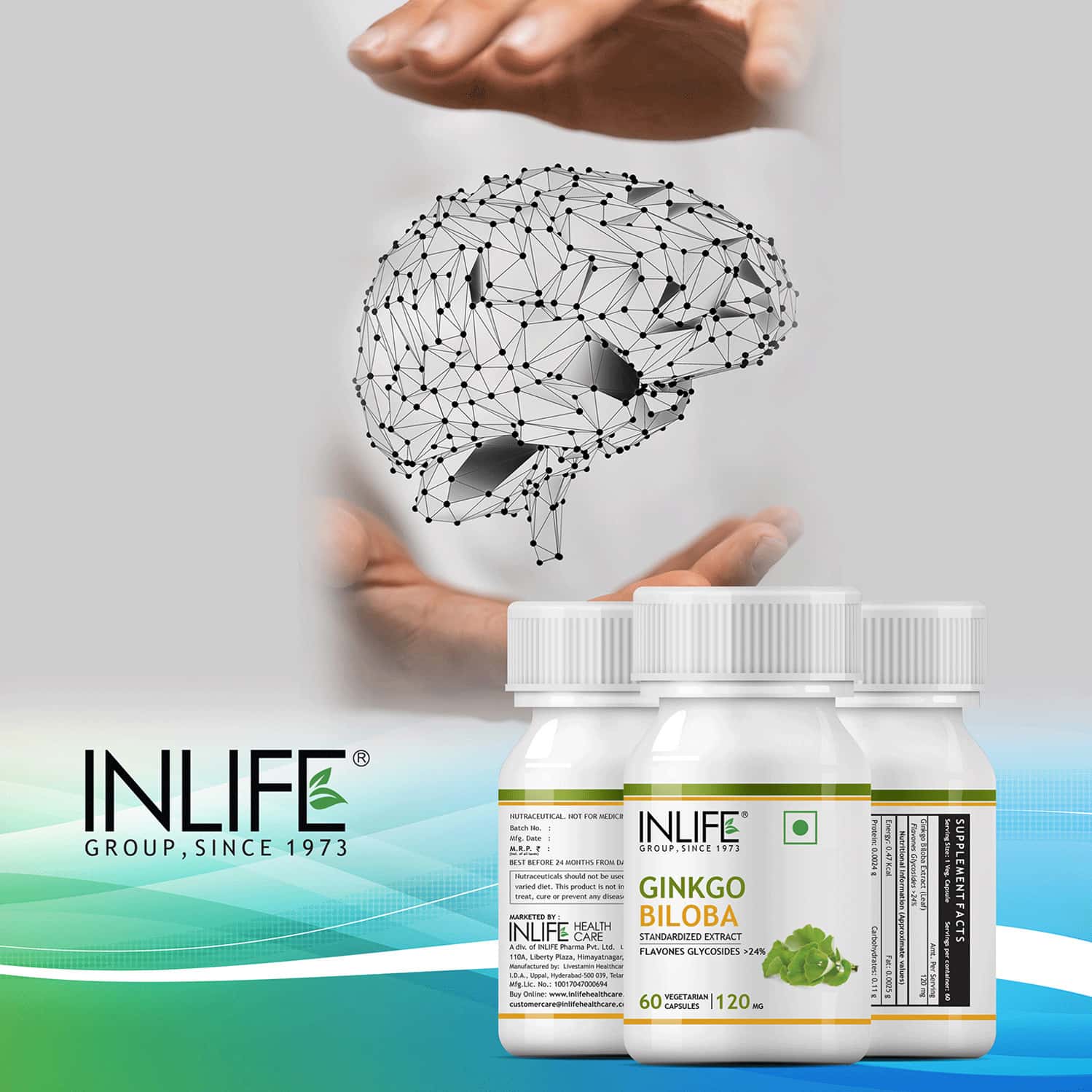Buy INLIFE GINKGO BILOBA EXTRACT (FLAVONS GLYCOSIDES > 24%) 120MG ...