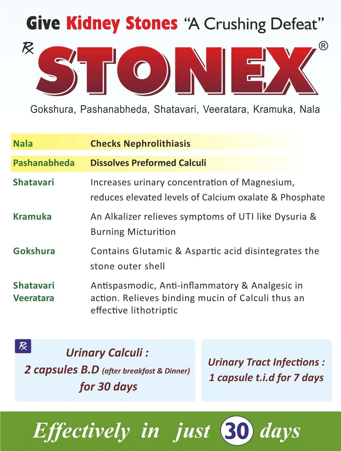Buy STONEX CAPSULE SINGLE SOLUTION FOR STONES - 10 X 10 Online & Get ...