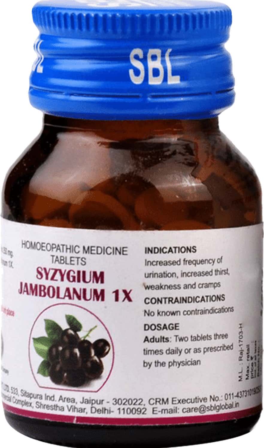 Buy SBL SYZYGIUM JAMBOLANUM TRITURATION TABLET 1X 25GM PACK OF 2 Online ...