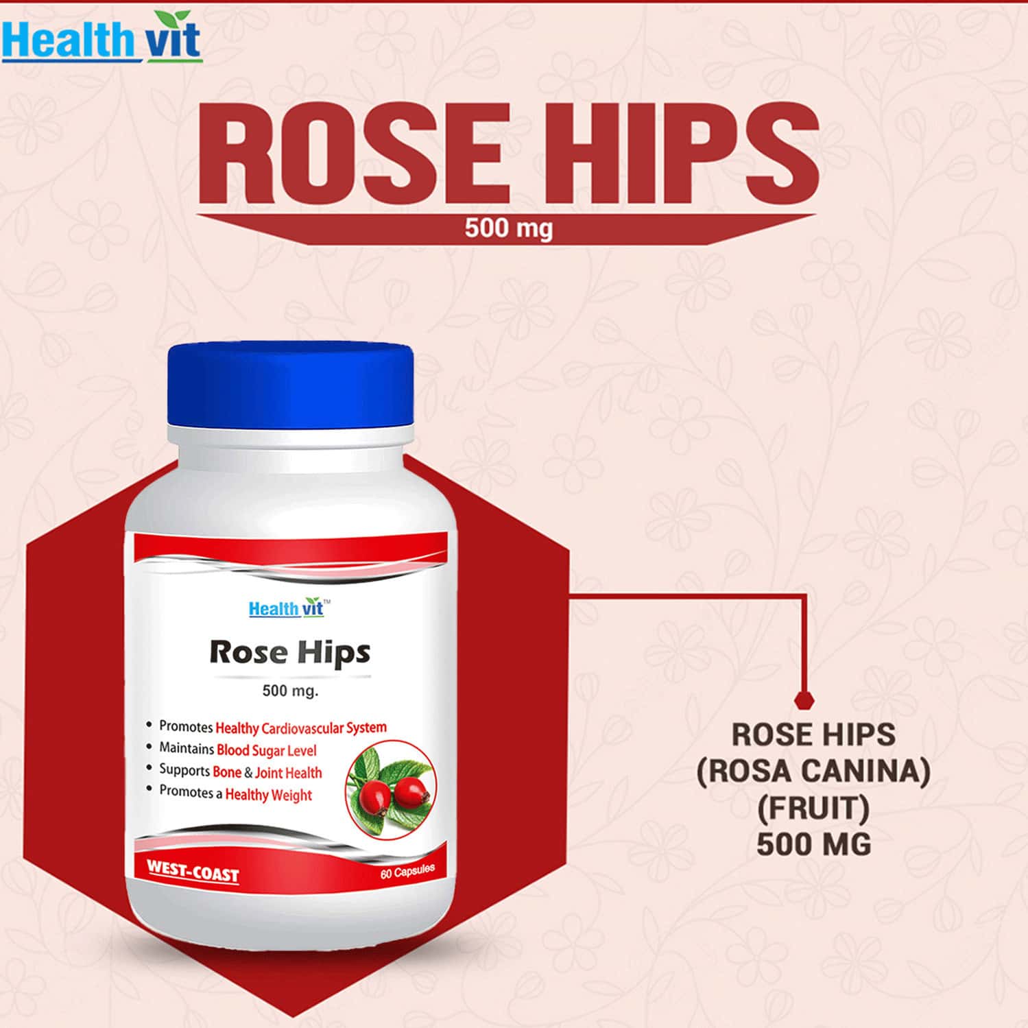 Buy HEALTHVIT ROSE HIPS 500 MG – 60 CAPSULES Online & Get Upto 60% OFF ...
