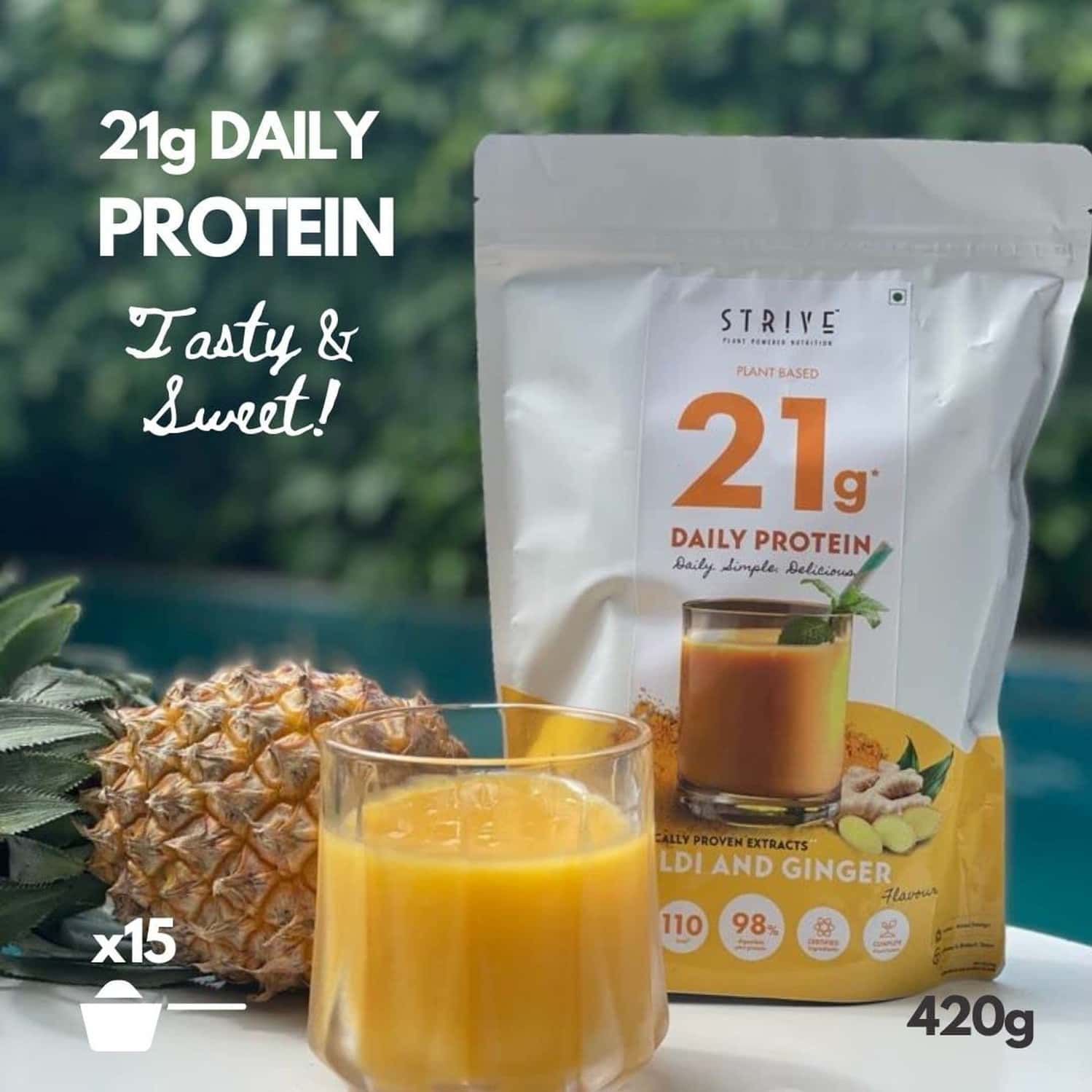 Buy STRIVE VEGAN 21G COMPLETE PROTEIN POWDER, REAL TASTY HALDI GINGER ...