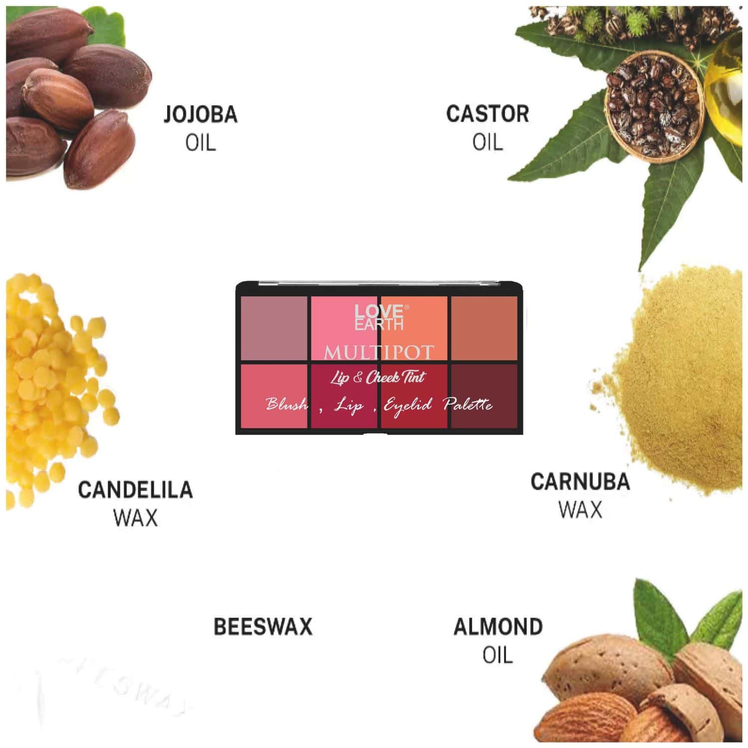 Buy LOVE EARTH - BLUSH , LIPS , EYELID PALETTE Online & Get Upto 60% OFF at PharmEasy