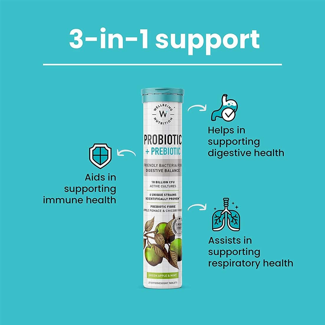 Buy WELLBEING NUTRITION DAILY PROBIOTIC + PREBIOTIC FOR DIGESTION, 21 ...