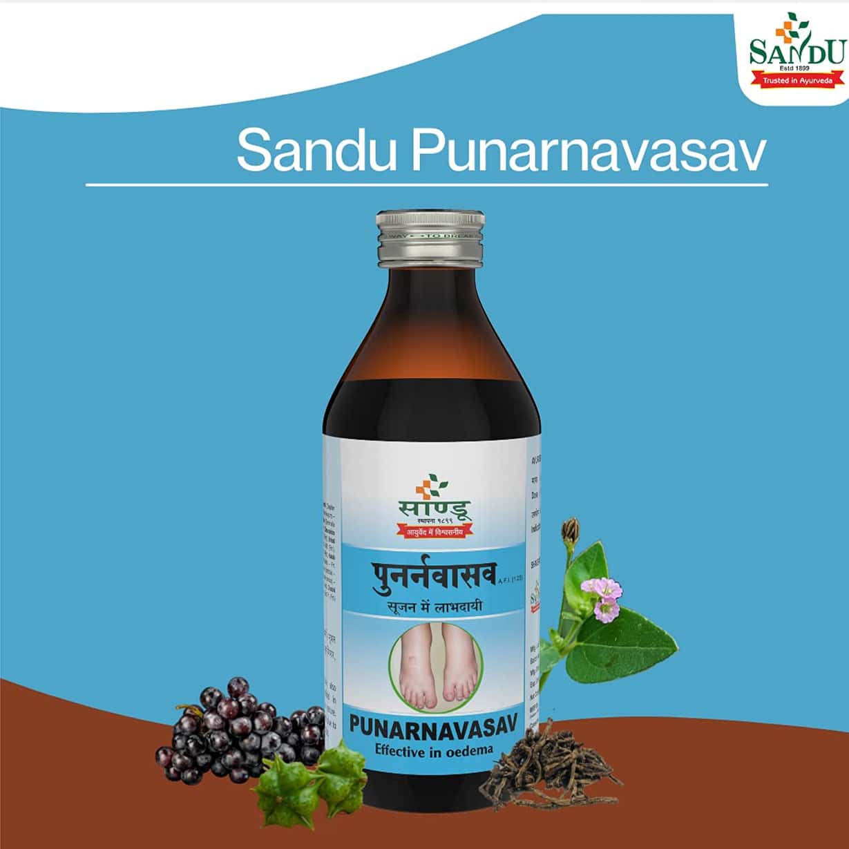 Buy SANDU PUNARNAVASAV SYRUP 200 ML Online & Get Upto 60% OFF at PharmEasy
