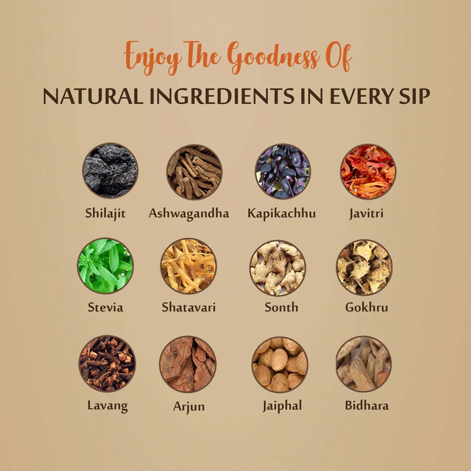 Buy UPAKARMA AYURVEDA PURE SHILAJIT TEA WITH 12 PLUS AYURVEDIC HERBS ...