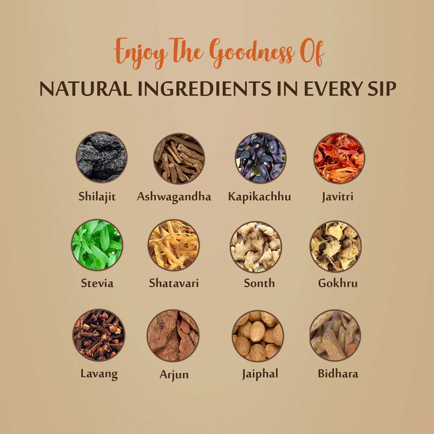 Buy UPAKARMA AYURVEDA PURE SHILAJIT TEA WITH 12 PLUS AYURVEDIC HERBS ...