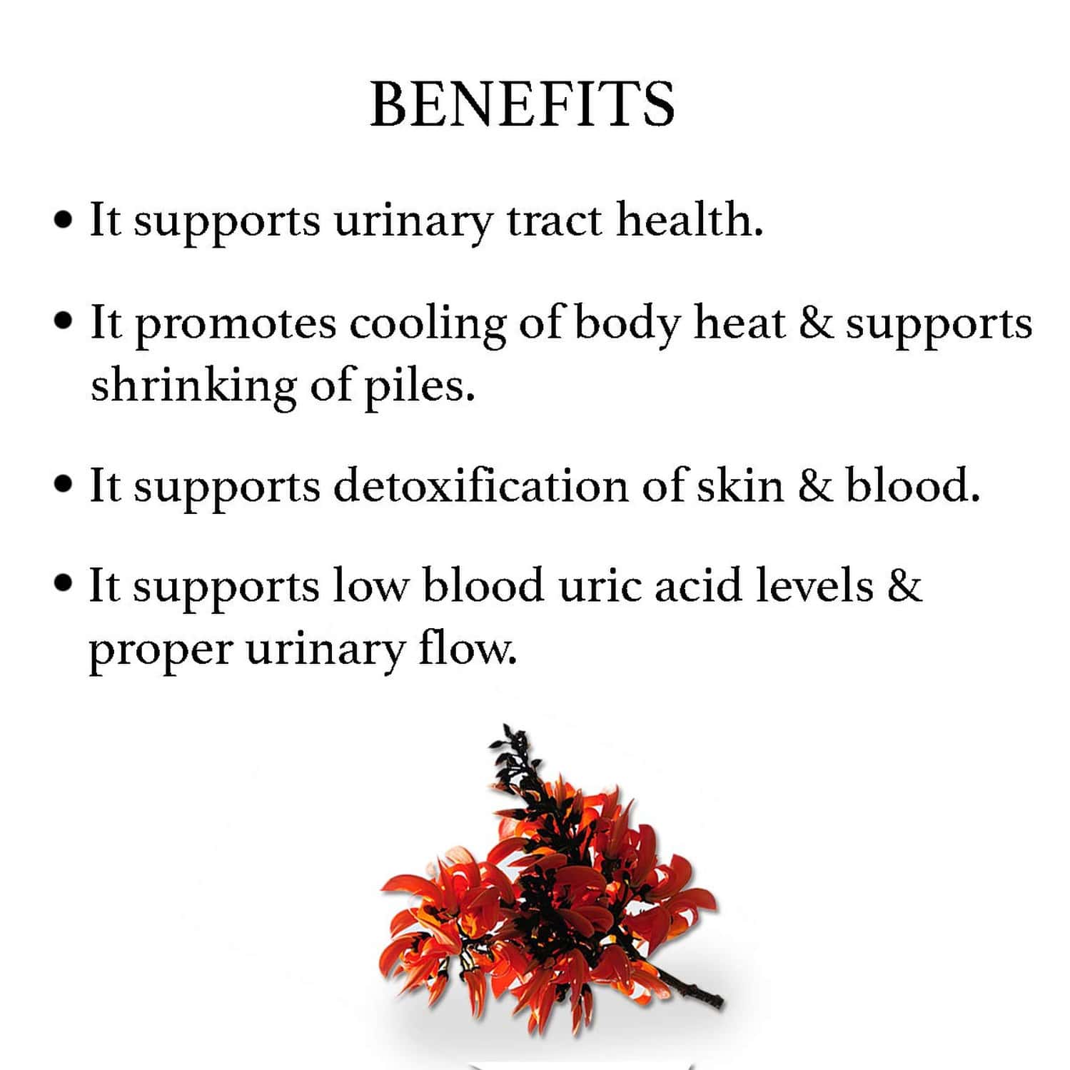 How To Use Palash Flower