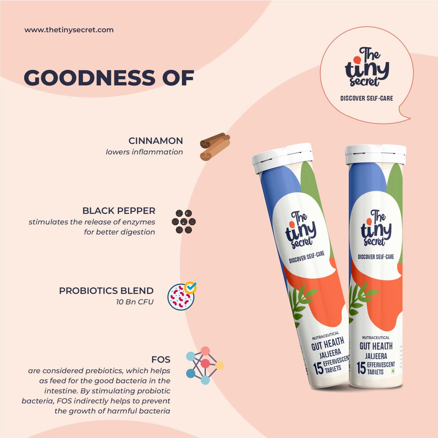 Buy THE TINY SECRETWIZZ OF FIZZ GUT HEALTH EFFERVESCENT TABLETS ...