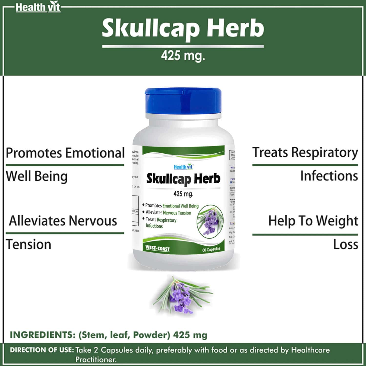 Buy HEALTHVIT SKULLCAP HERBS 425 MG FOR NERVOUS SYSTEM SUPPORT 60 ...
