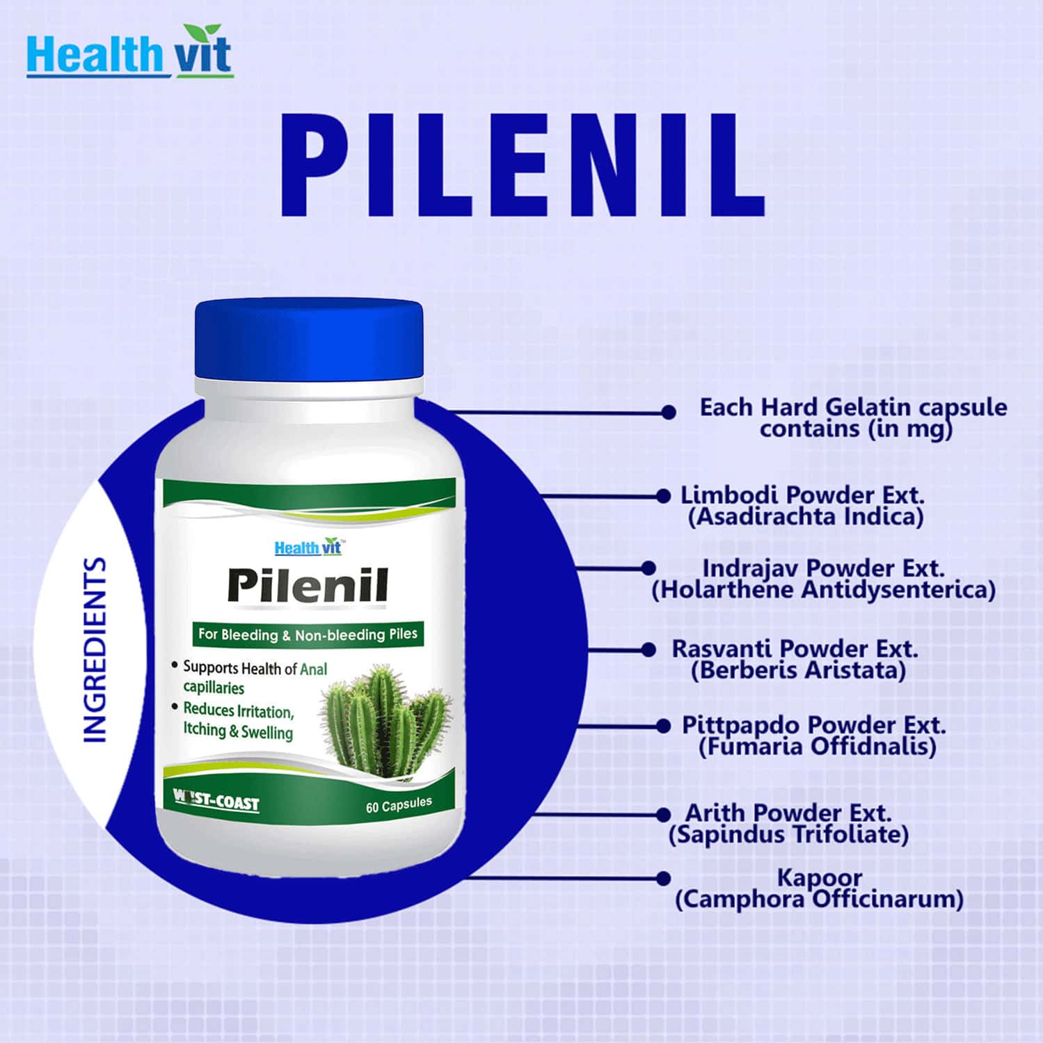 Buy HEALTHVIT PILENIL 60 CAPSULES FOR BLEEDING & NON-BLEEDING PILES ...