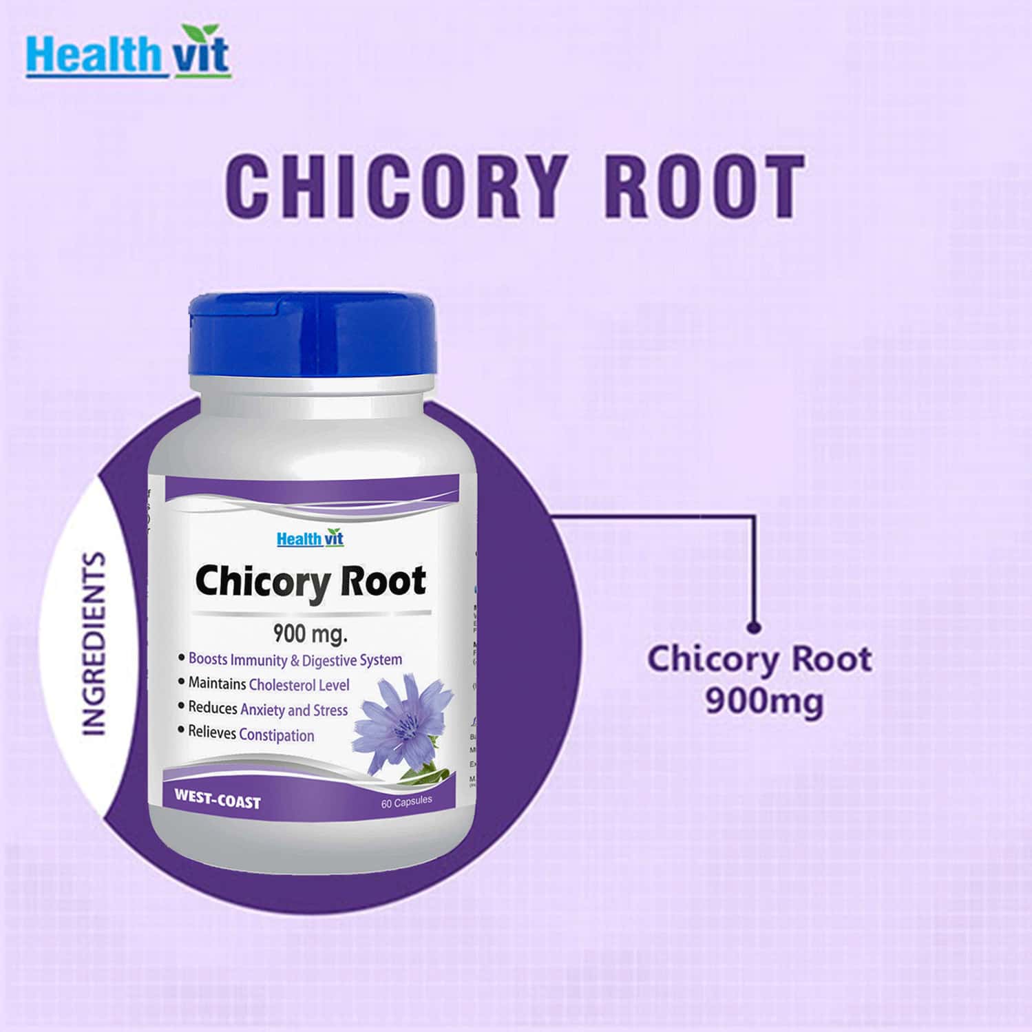 Buy HEALTHVIT CHICORY ROOT 900MG 60 CAPSULES FOR IMMUNITY BOOSTER ...