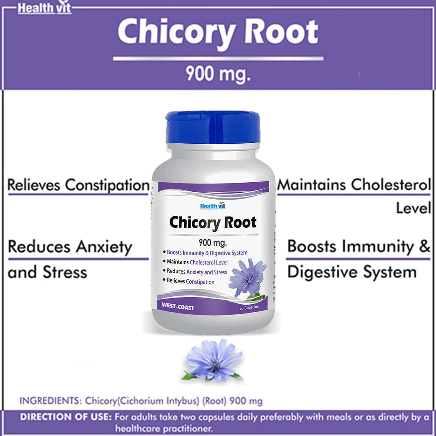Buy HEALTHVIT CHICORY ROOT 900MG 60 CAPSULES FOR IMMUNITY BOOSTER ...