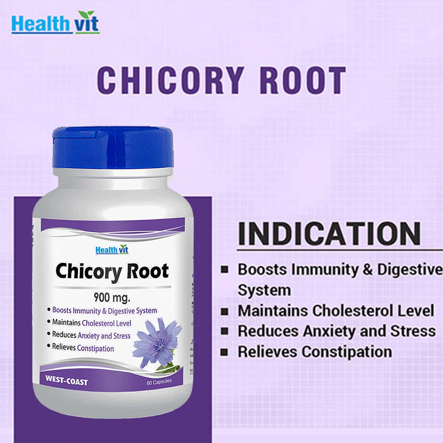 Buy HEALTHVIT CHICORY ROOT 900MG 60 CAPSULES FOR IMMUNITY BOOSTER ...