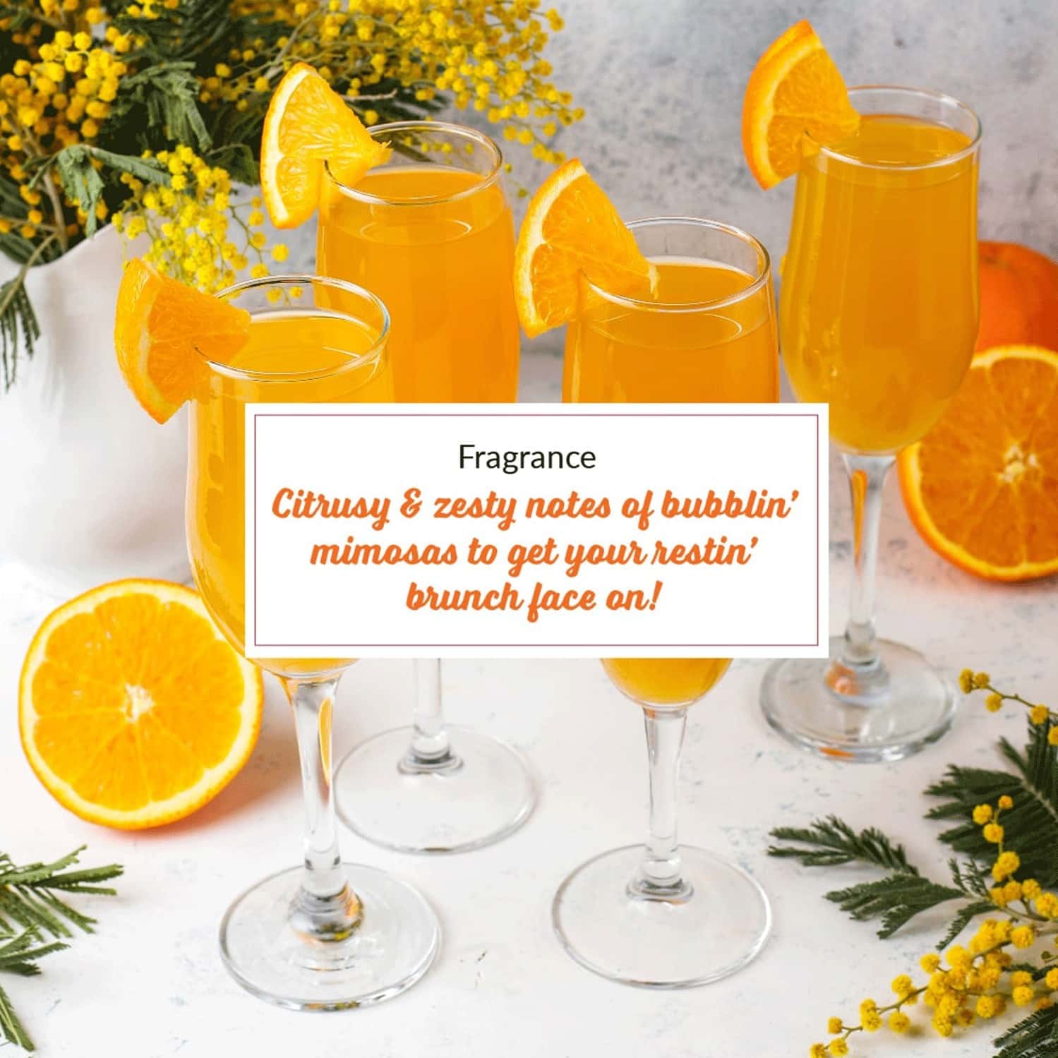 Buy PLUM BODYLOVIN' TRIPPIN' MIMOSAS BODY MIST - 150 ML Online & Get ...