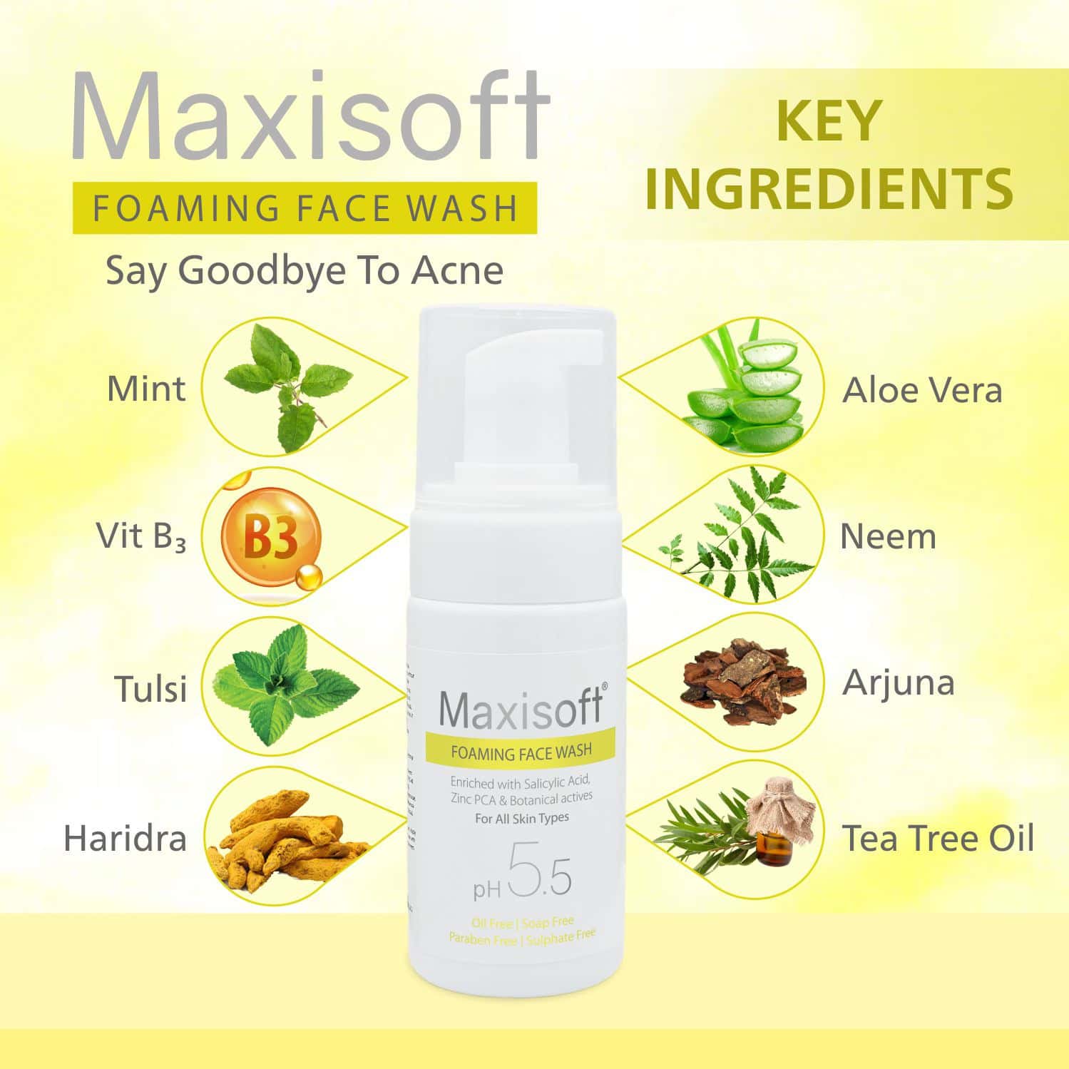Buy MAXISOFT ANTIACNE & ANTIPIMPLE FOAMING FACE WASH 100 ML | SALICYLIC ...